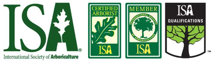 Contact | Arborists NW