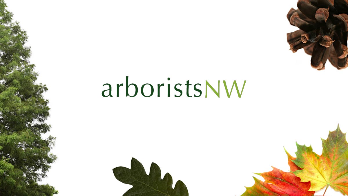 Arborists Nw Full Spectrum Tree Consulting Service
